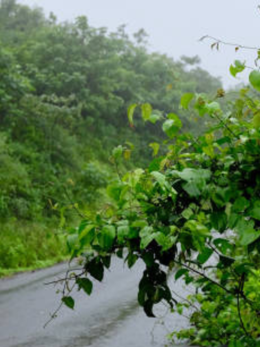 Planning A Trip To Hills This Monsoon? Here Is All You Need To Carry In ...