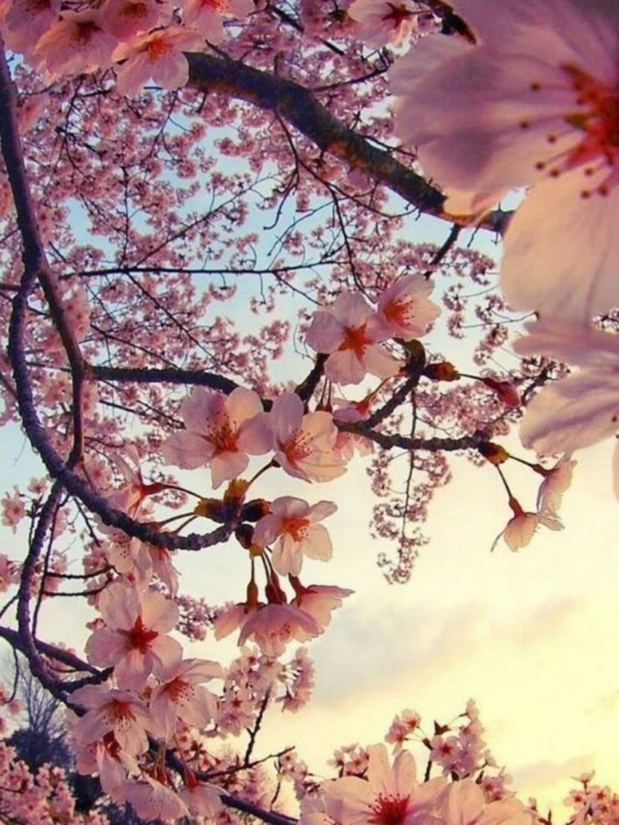 Romantic Good Morning Images For Your Partner | Times Now