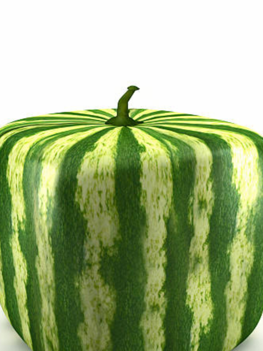 8 most expensive fruits in the world | Times Now