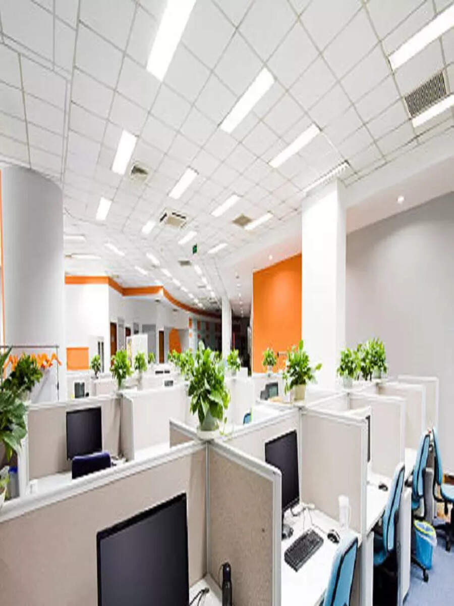 7 Plants to keep at your Workstation for Success at Job as per Vastu ...