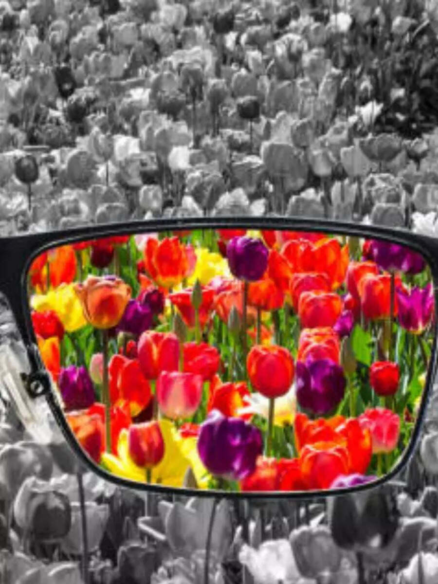 Colour Blindness Test, Take One Now | Times Now