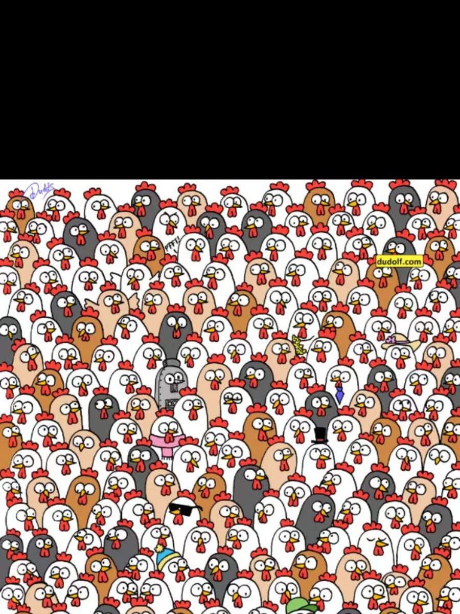 Optical Illusion: Spot 3 Hidden Owls Among Chickens In 10 Seconds ...