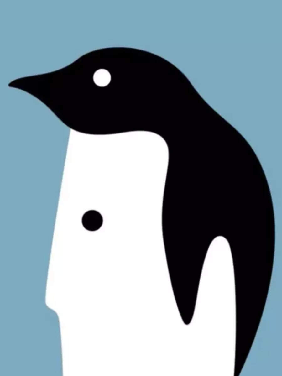 Optical Illusion Personality Test: Do You See Penguin or Man? | Times Now