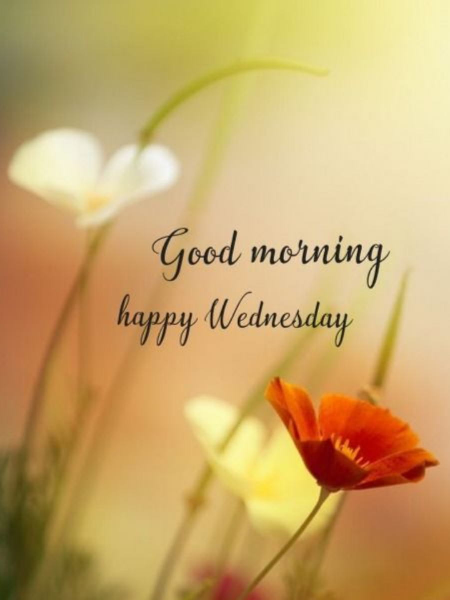 Happy Wednesday Wishes, Good Morning Greetings, Quotes, Images With ...