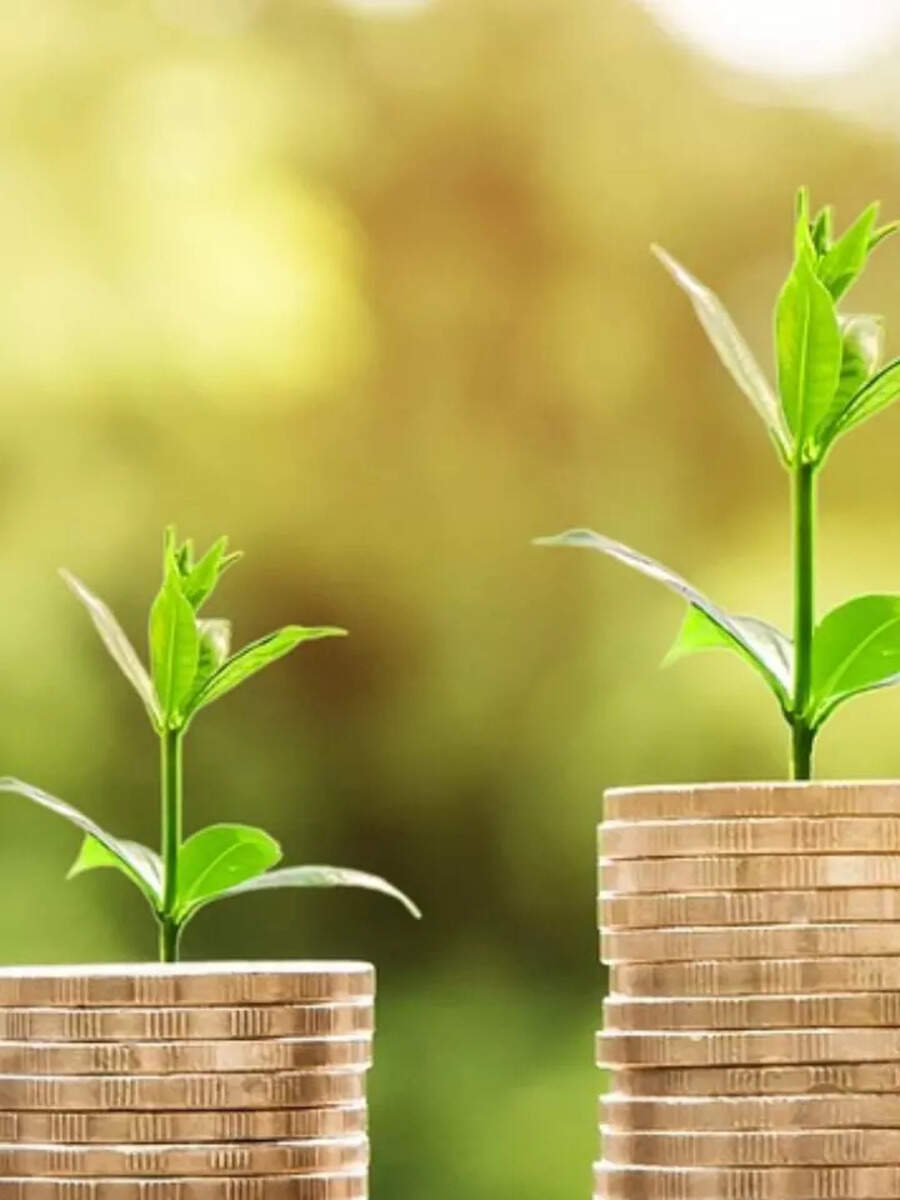 PPF interest rates and eligibility: All Details here | Times Now