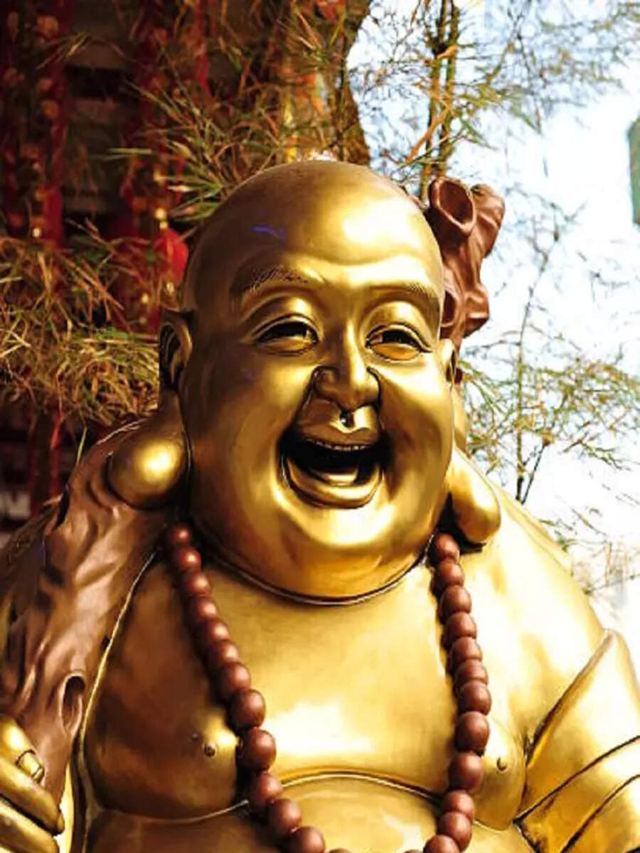 Spiritual Significance of Different Types of Laughing Buddha | Times Now