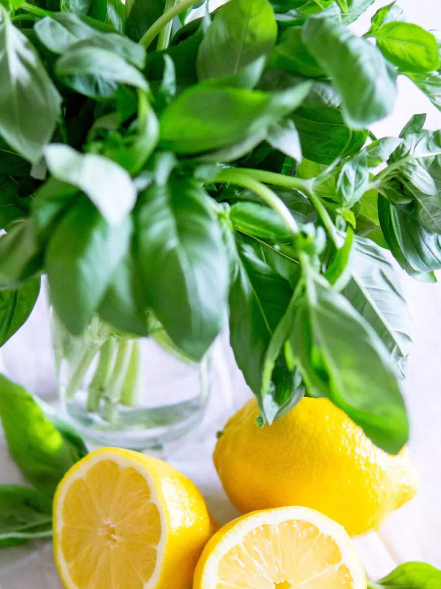 Benefits of mixing lemon to bath water - आंघोळीच्या पाण्यात लिंबू ...