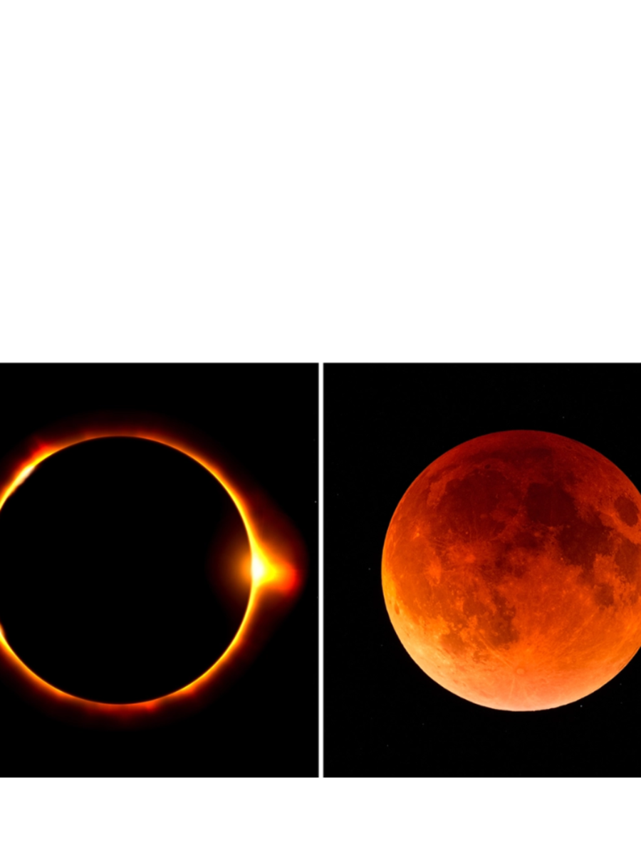 Solar Eclipse and Lunar Eclipse in October 2023, Difference Explained ...