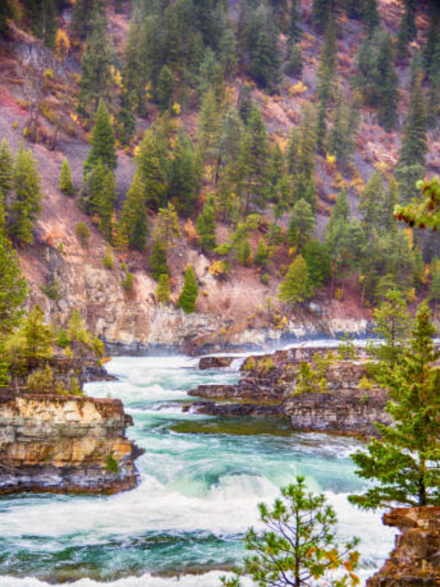 World Shortest River Roe River Montana USA | Times Now Navbharat