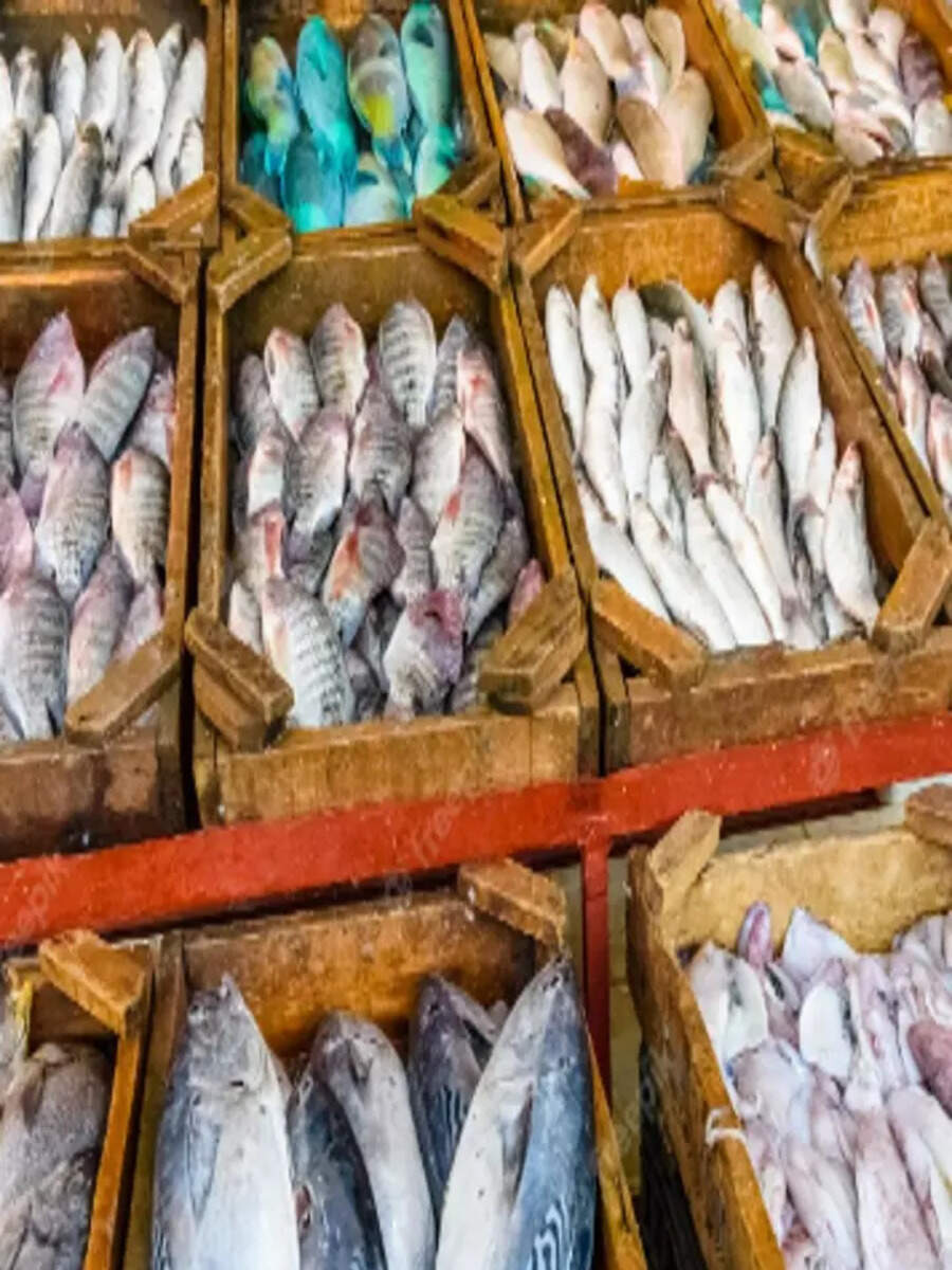 Who is the king of fish know Answer | Times Now Navbharat