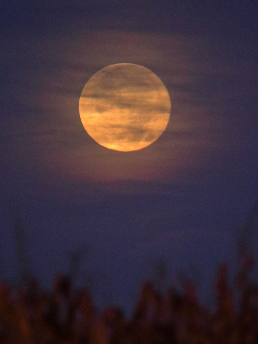 Karwa Chauth 2023: Check Out Moonrise Timings In Your City | Times Now