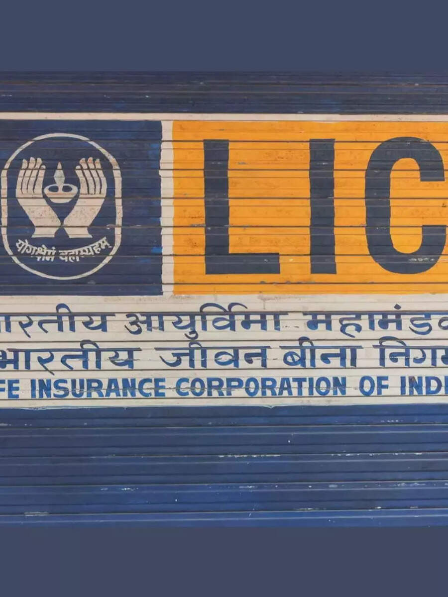 LIC portfolio stocks: 271% returns in 6 months - 7 MULTIBAGGERS held by ...