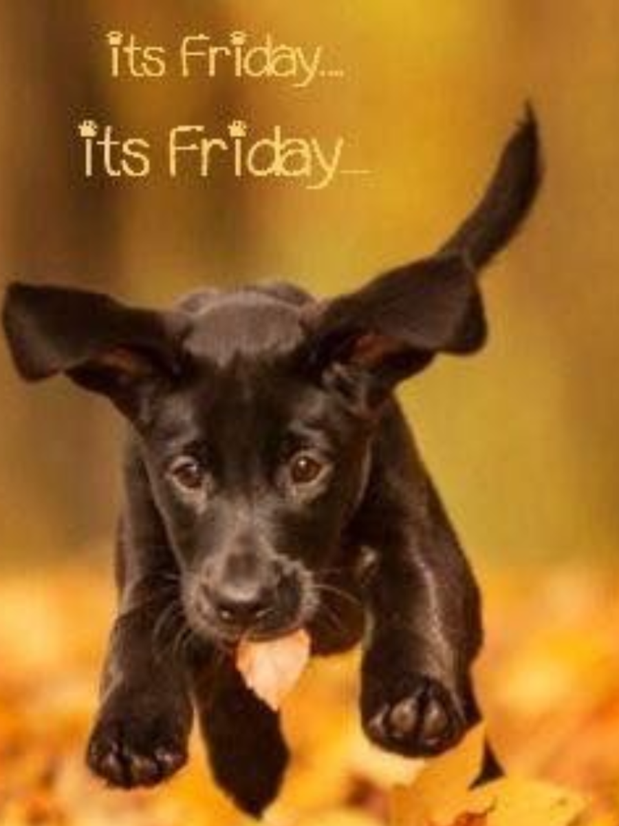 7 Good Morning Quotes for Friday | Times Now