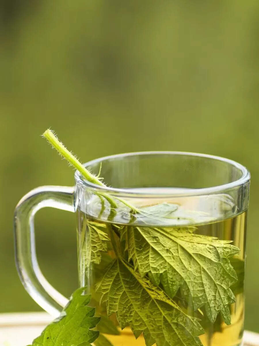 8 Health Benefits Of Drinking Nettle Tea | Times Now