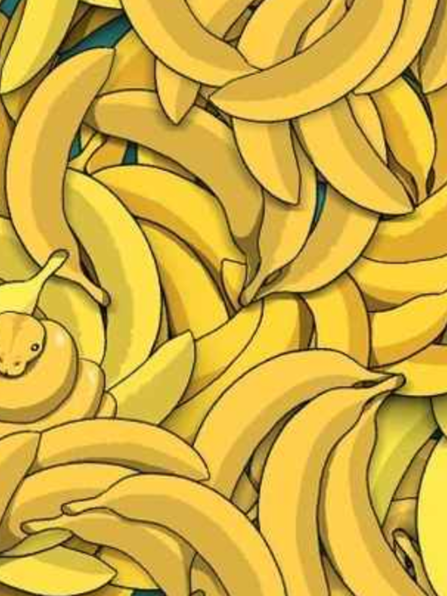 Can You Spot The Hidden Snake Among Bananas In The Picture Within 5 Sec ...