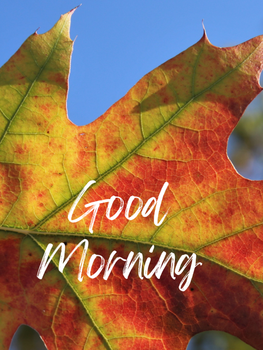 8 Unique Good Morning Images for a Bright Start Today | Times Now