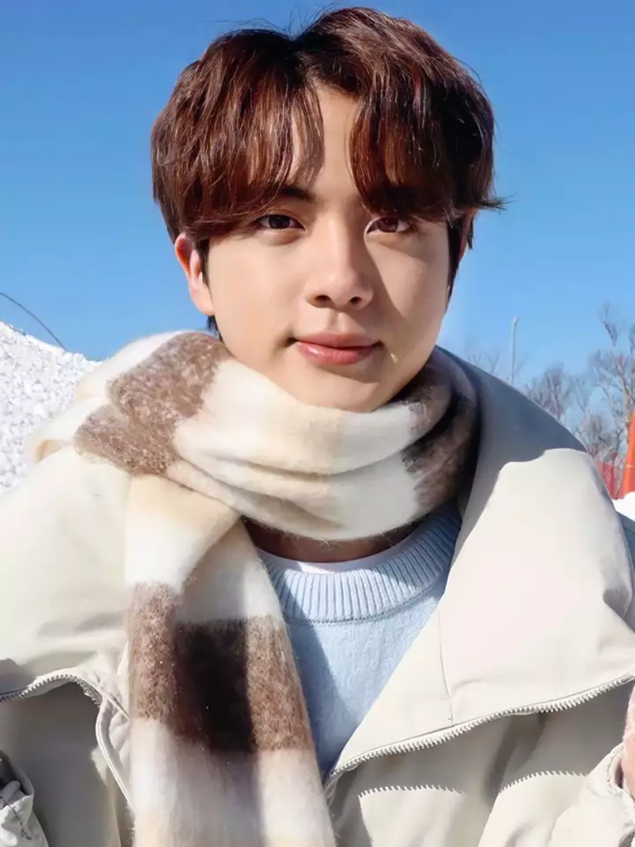 BTS Star Jin's Cosy Winter Looks For House Parties | Times Now