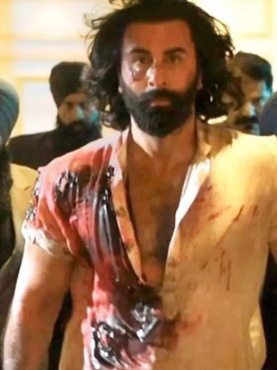 Ranbir Kapoor's Animal Was Shot In Saif Ali Khan's Pataudi Palace ...