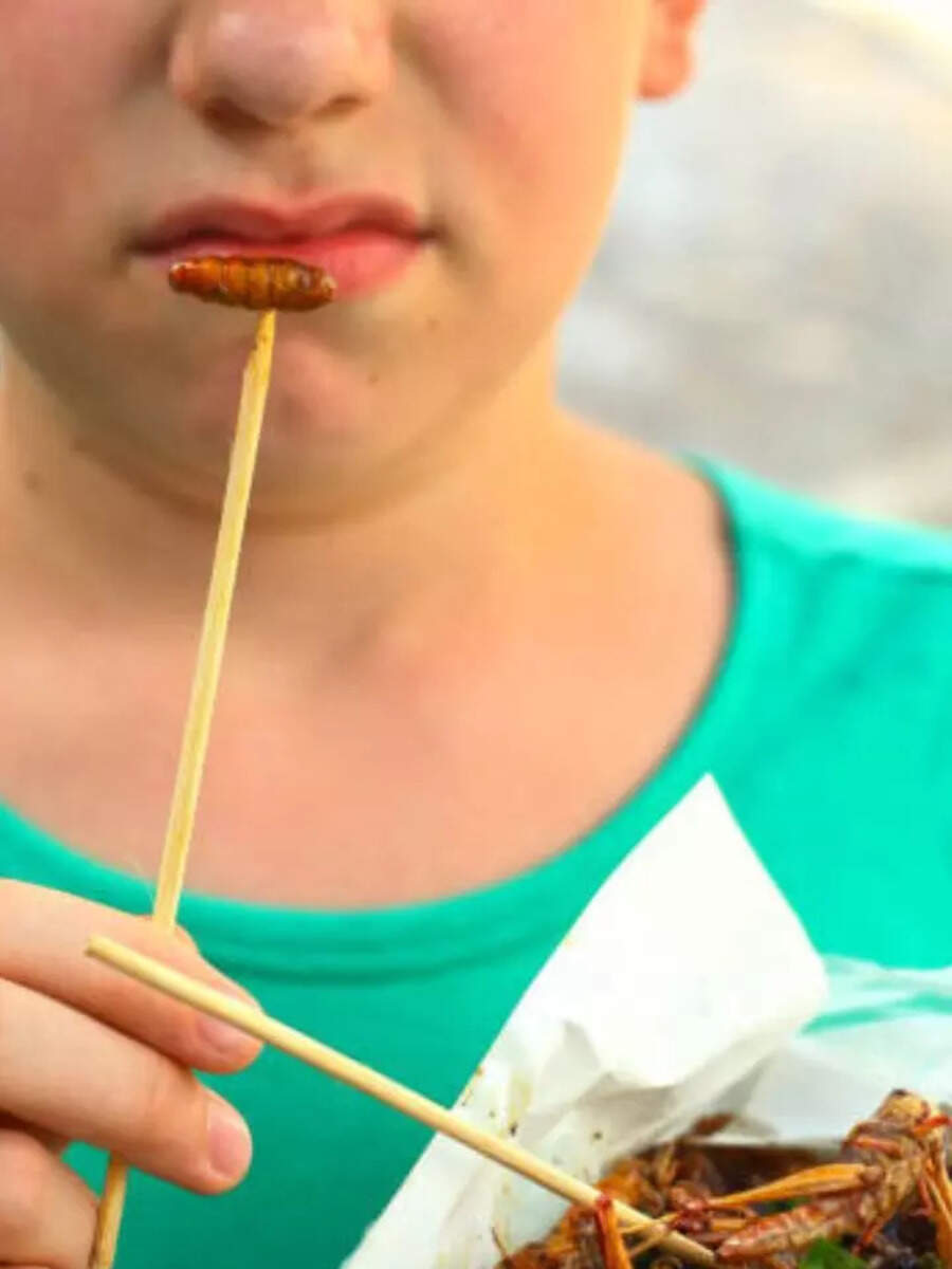 8 Bizarre, Weird Foods Eaten In India | Times Now