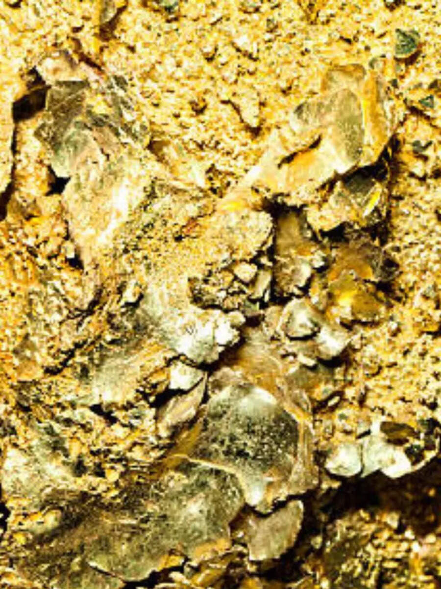 How to check where gold is buried under land know the process | Times ...