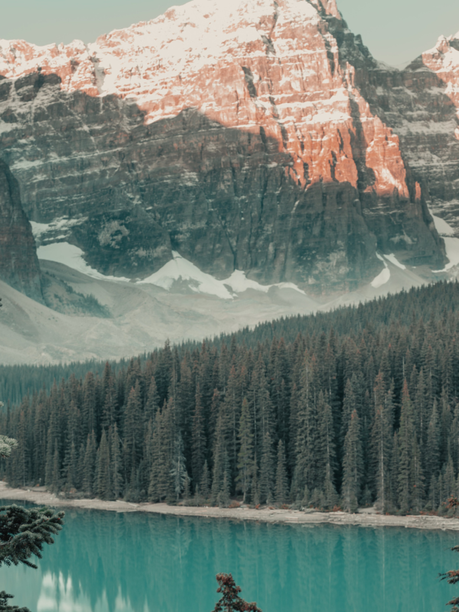 10 Lessons to Learn from Nature | Times Now