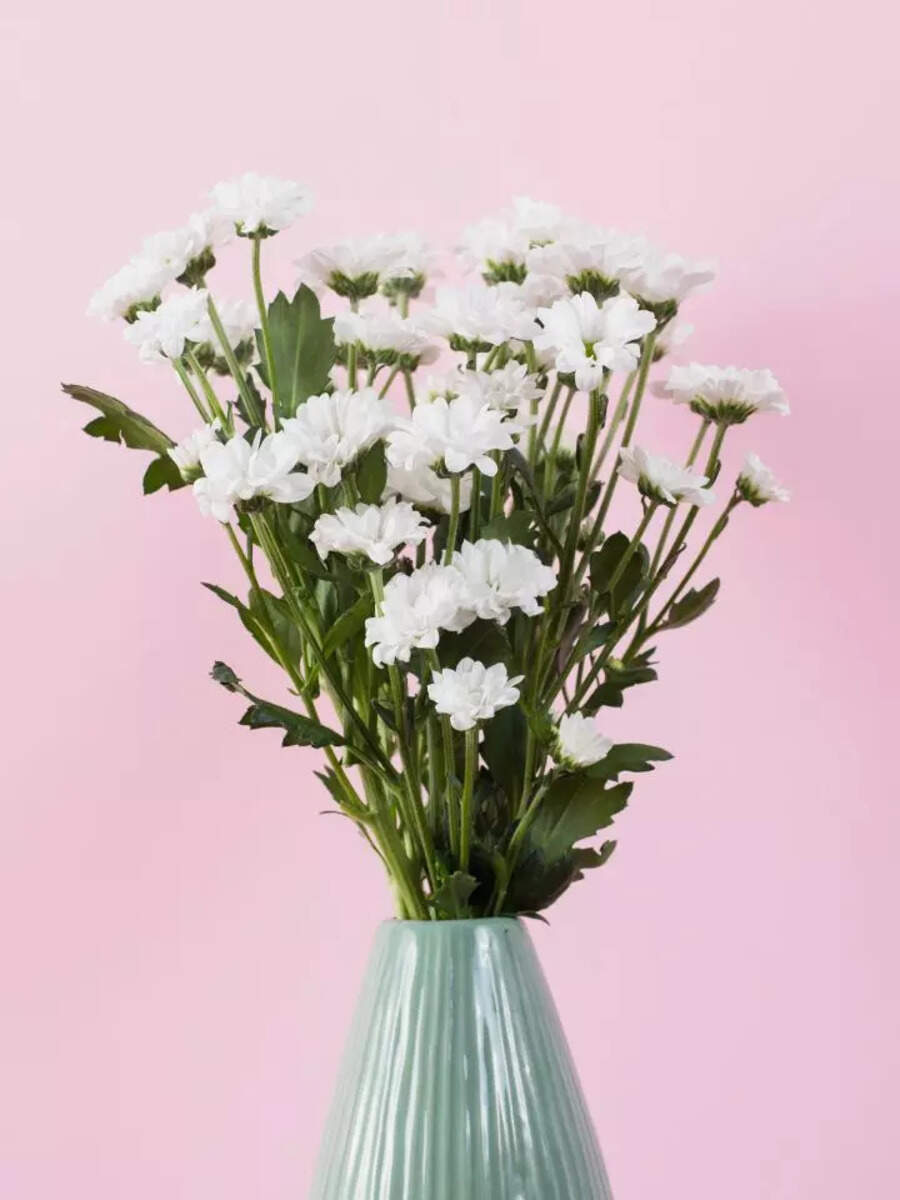 9 Best Flower Vases to add a touch of beauty in your life | Times ...