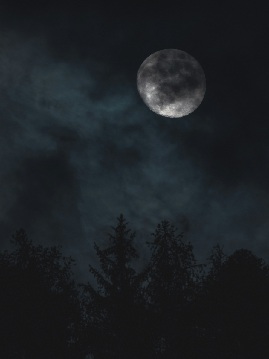Wolf Moon 2024: What Is It? When and Where To Watch First Full Moon ...