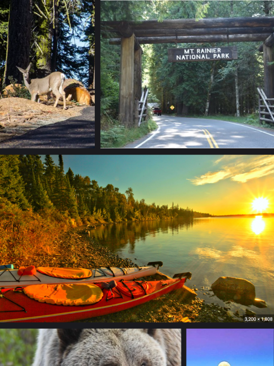 Top 10 Deadliest National Parks In The US | Times Now
