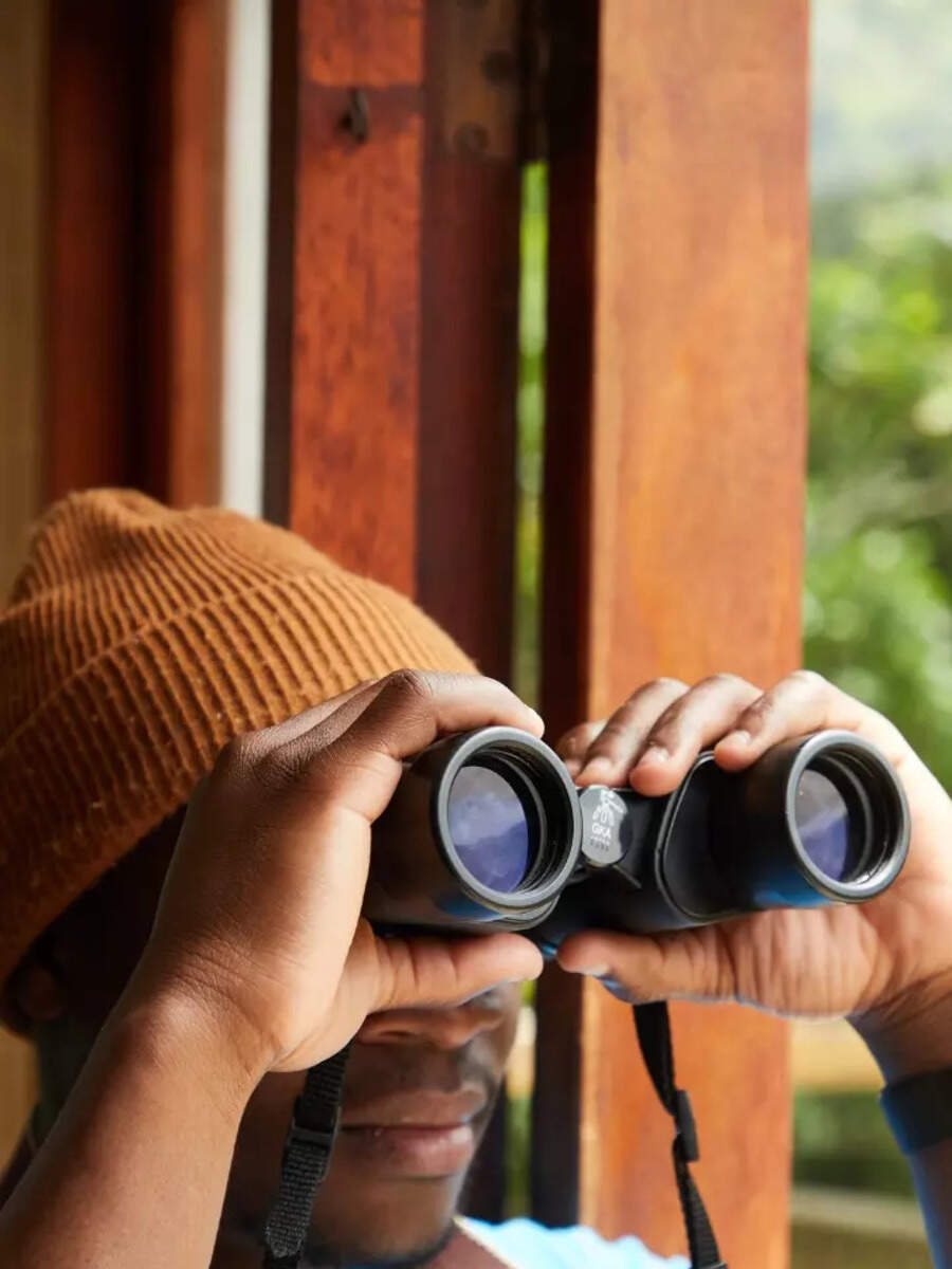 Optical Illusion: Find the Human Hiding Among These 11 Bears | Times Now