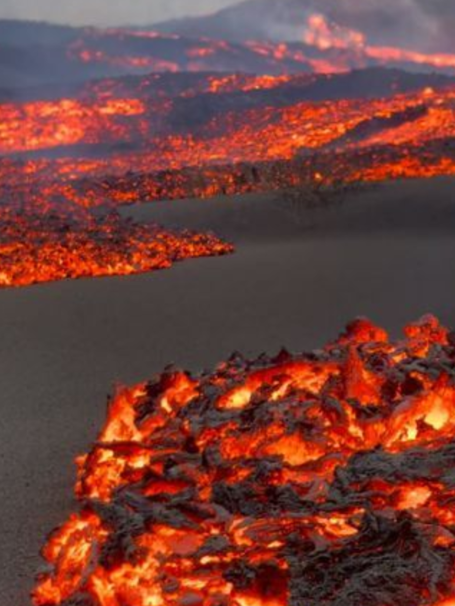 Animals That Live Near Volcanoes | Times Now