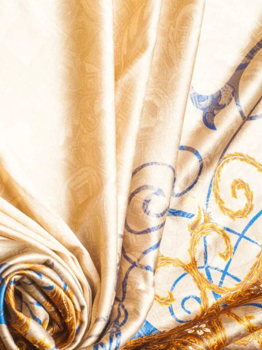 Chanderi Madhya Pradesh is famous for Chanderi silk Sarees | Times Now Navbharat