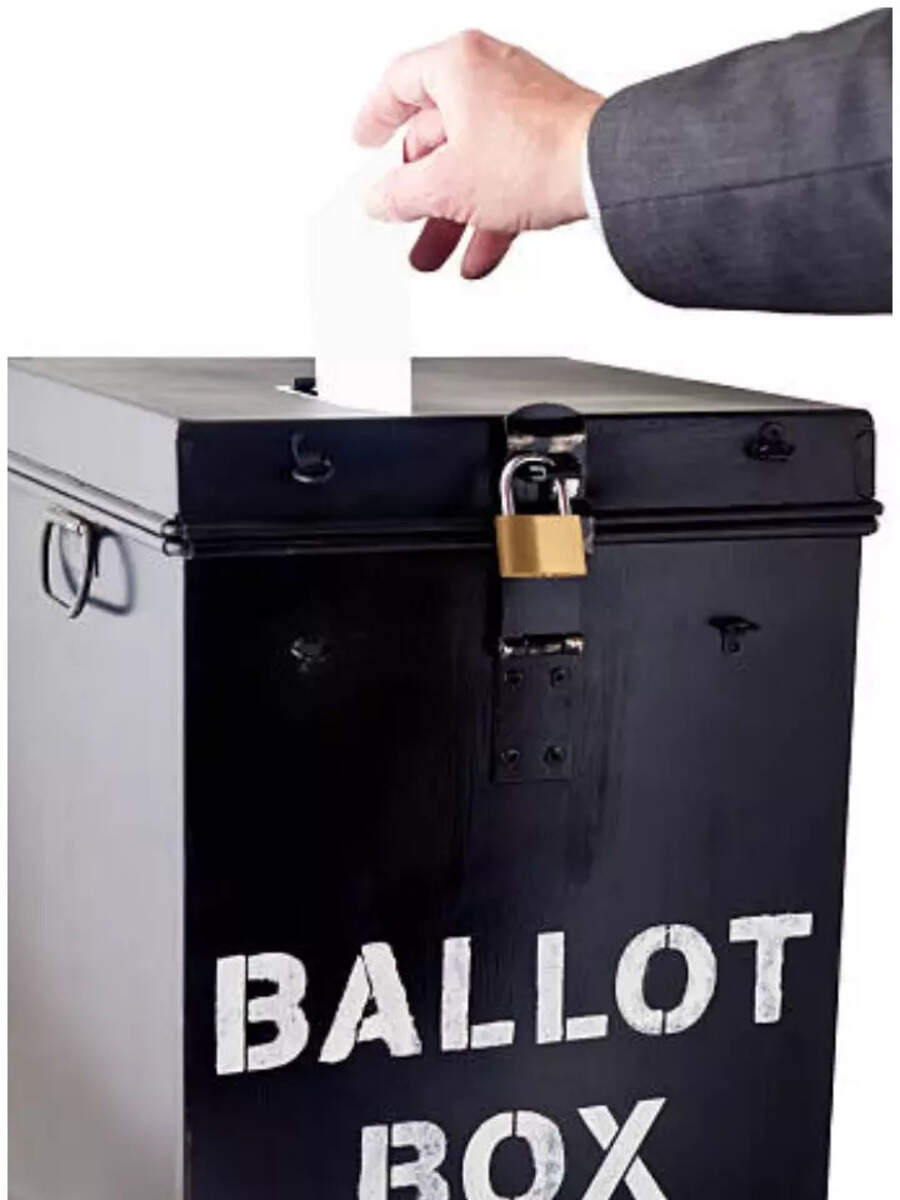 Pakistan Elections 2024: Pakistan Elections conducted through ballot ...