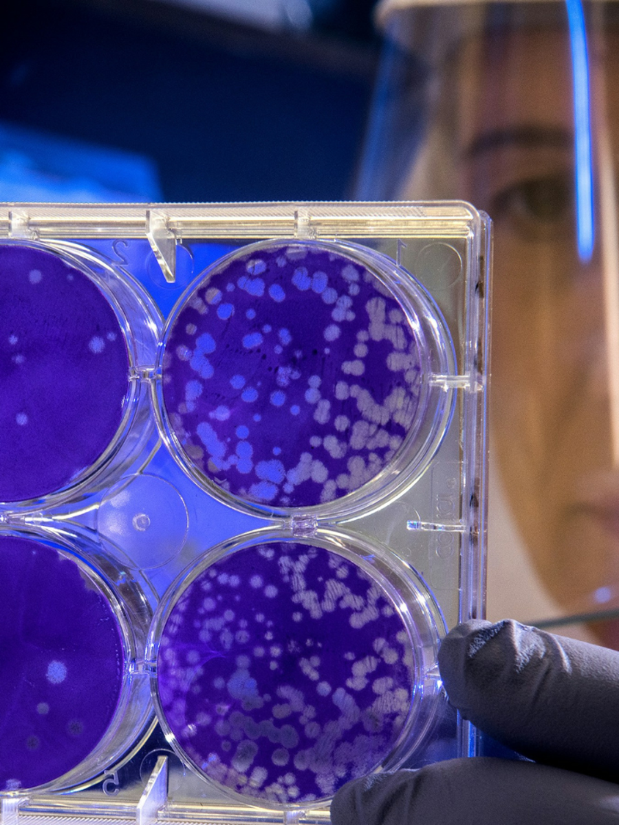 Ancient 15,000-Year-Old Viruses Seen in Melting Tibetan Glaciers ...