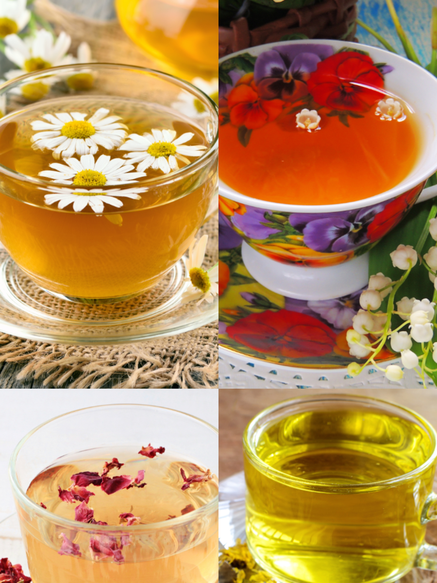 10 Floral Teas You Must Try | Times Now