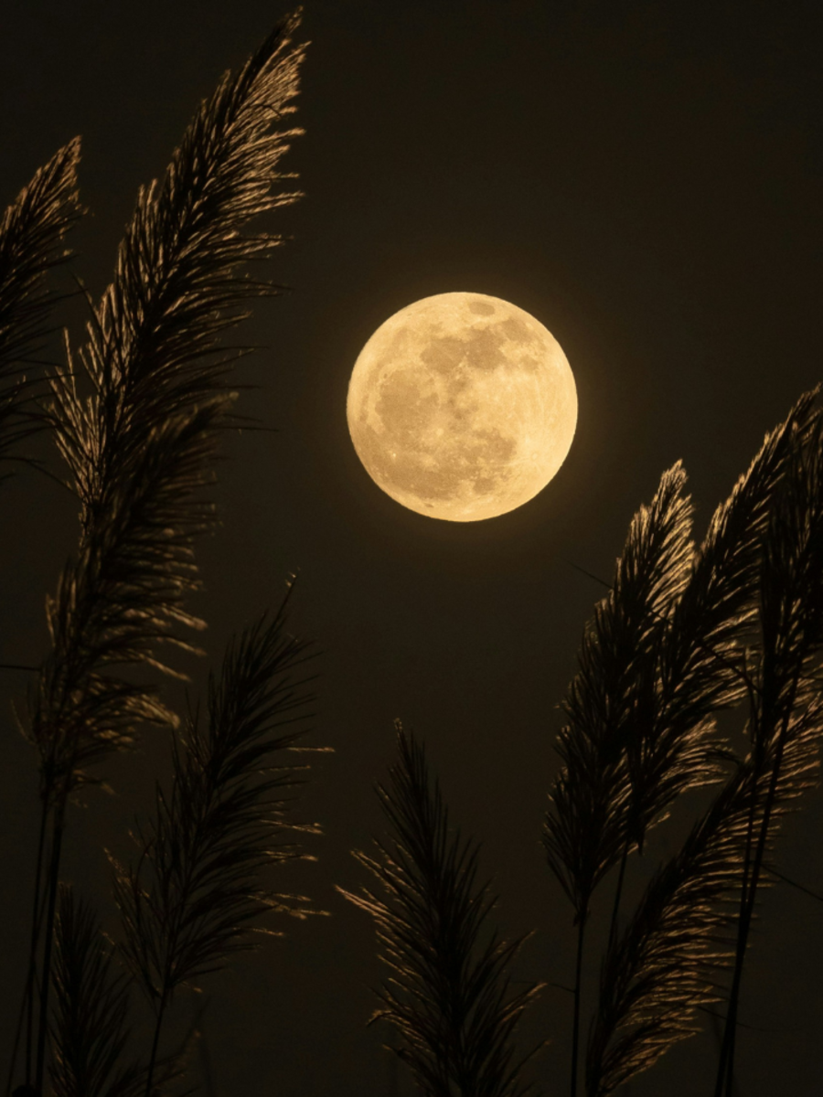 Snow Moon 2024: What It Means, When To See, All About February's Full ...