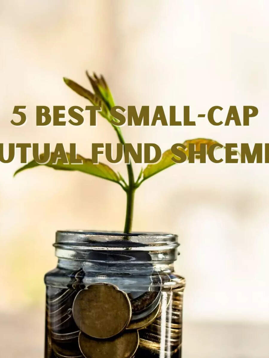 Best performing small-cap mutual funds: TOP 5 - Up to 72% returns in 1 ...