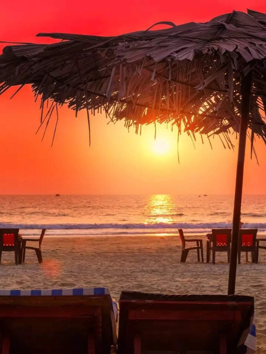 Remix Fall is like Mini Goa of Ranchi | Times Now Navbharat