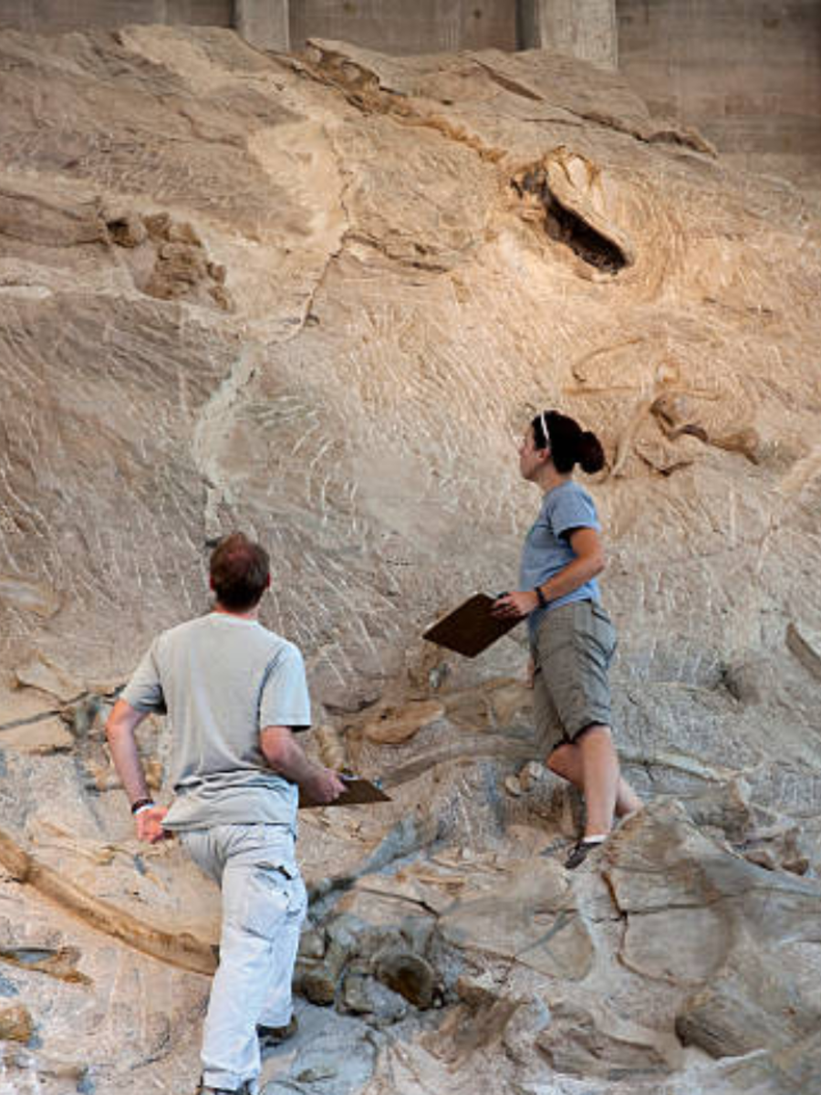 7 Highest Paying Jobs For Geography Students | Times Now