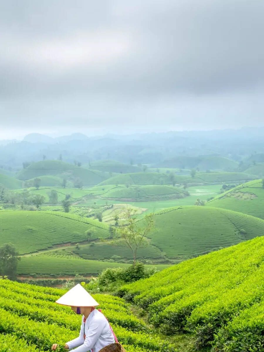 Trivia Quiz 5 Questions To Test Your General Knowledge Of India