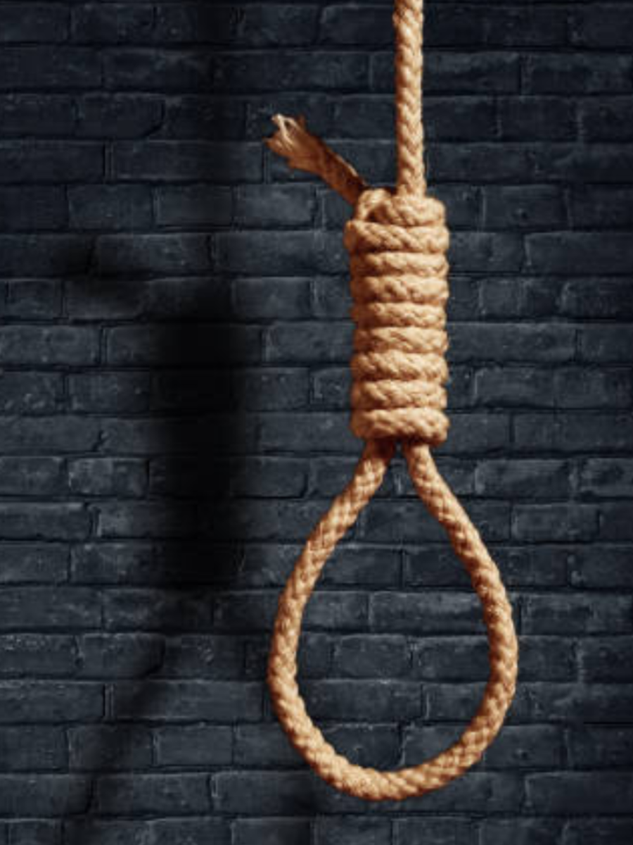 what is the cost of fansi ka fanda check price - भारत में कितने रुपये ...