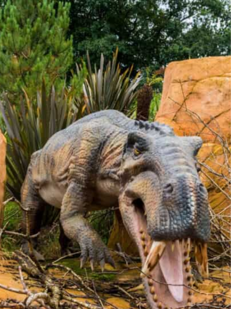 Prehistoric Animals that Lived Before Dinosaurs | Times Now