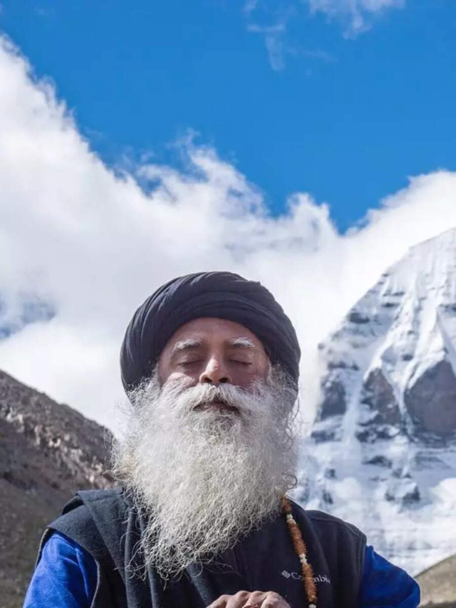 Sadhguru's Quotes On Peace | Times Now