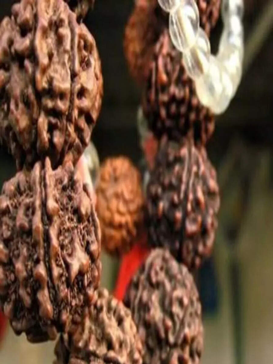 Different Types Of Rudraksha And Their Importance | Times Now