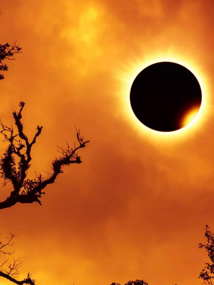 Total Solar Eclipse 2024 Date, Time, When And Where To Watch Surya ...