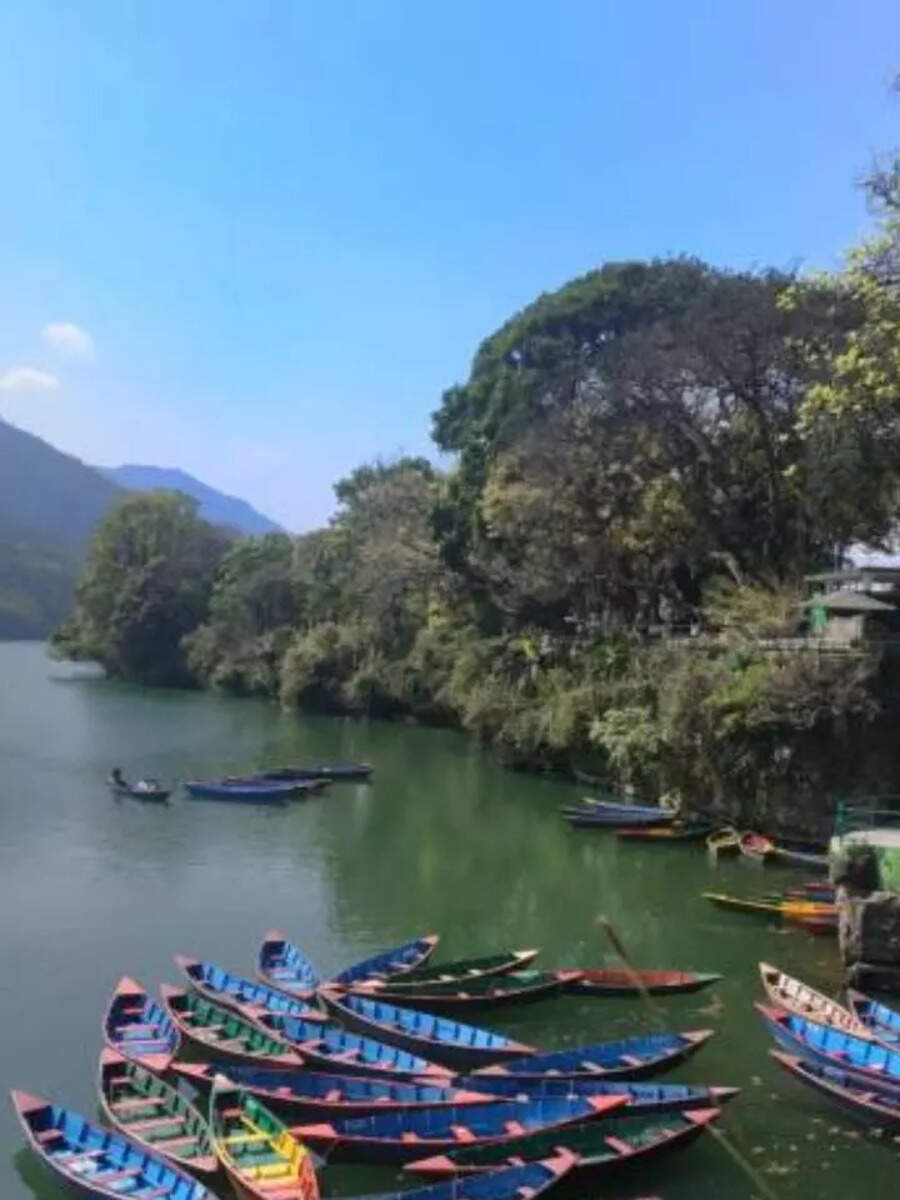 bihar buxar city have 4 famous valley check names | Times Now Navbharat