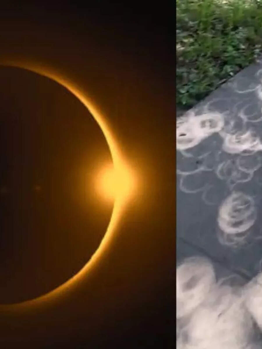 Solar Eclipse Spectacle: How Tree Leaves Transform into Mini Eclipse ...