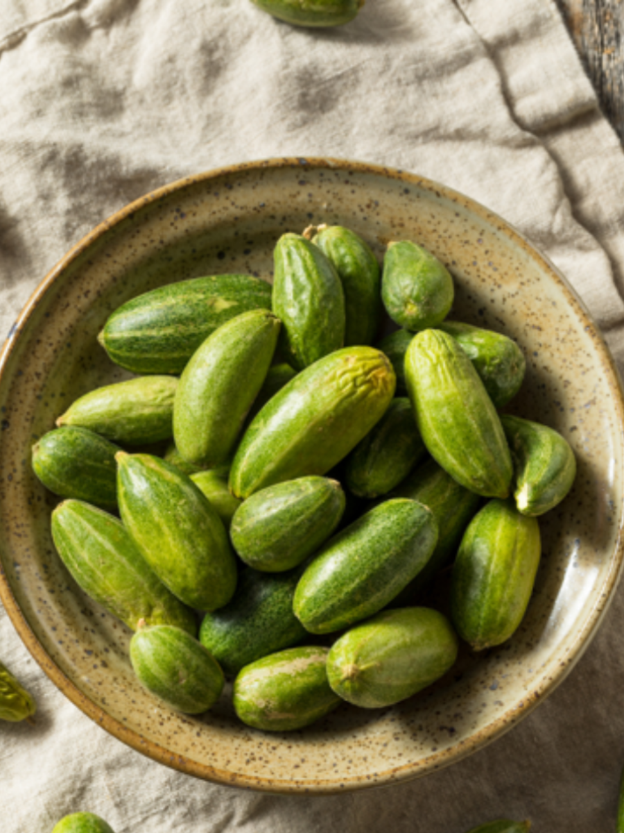 Best Parwal Recipes: Top 10 Delicious Indian Dishes To Make Using ...