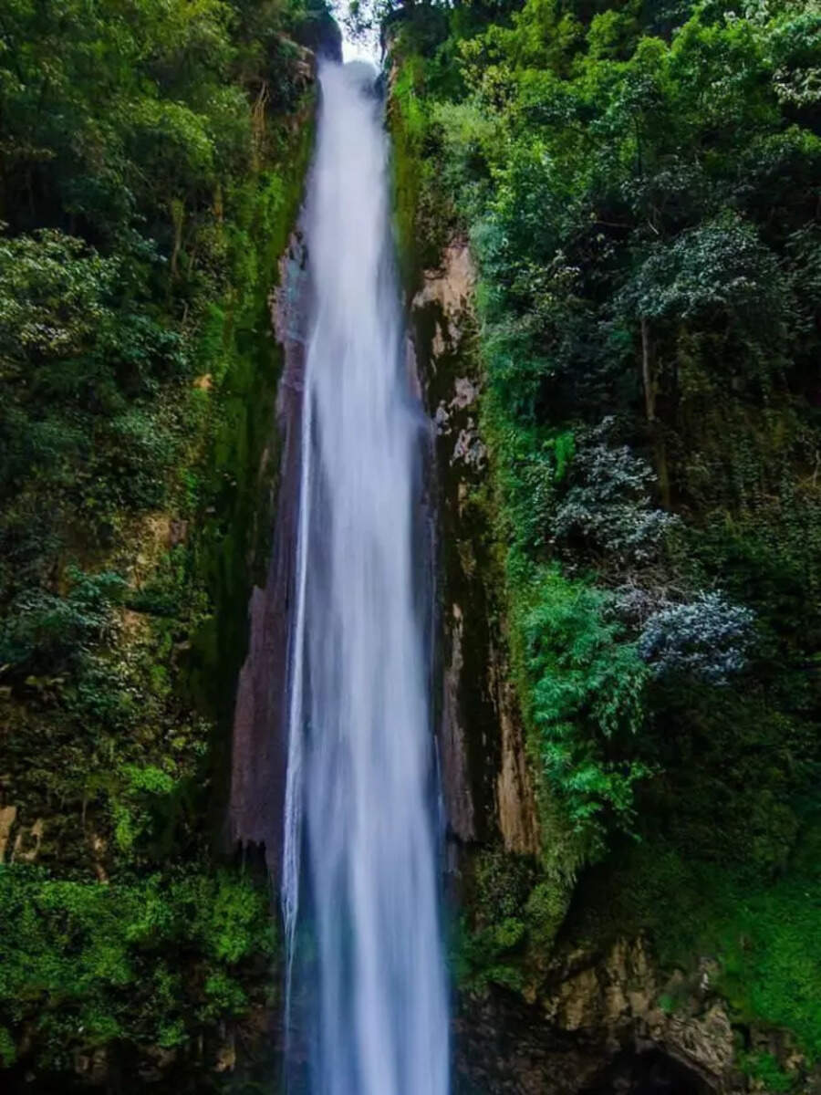 highest direct waterfall of India | Times Now Navbharat