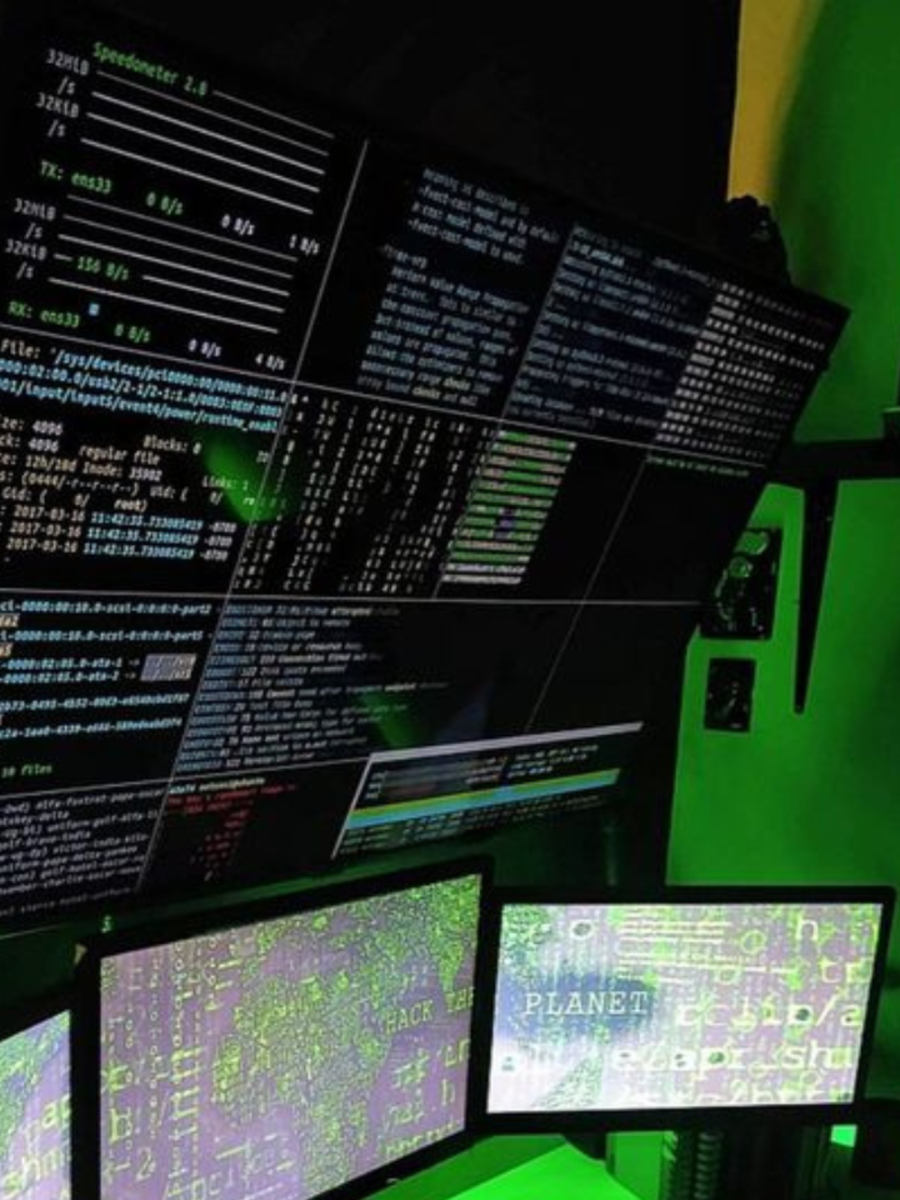 Top 7 Programming Languages That Pay Big: Start Learning Now | Times Now