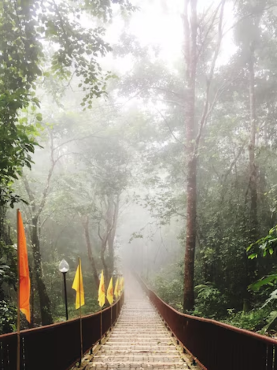 Best Indian Destinations to Travel with Moms for Mother's Day 2024 ...